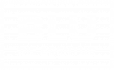 BLU agency network - we create your sales transformation.
